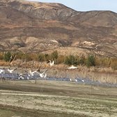 Vail Lake Resort - 125 Photos & 130 Reviews - Campgrounds - 38000 Hwy ...