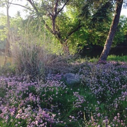 Acacia Reservation - 24 Photos - Parks - 26899 Cedar Rd, Lyndhurst, OH ...