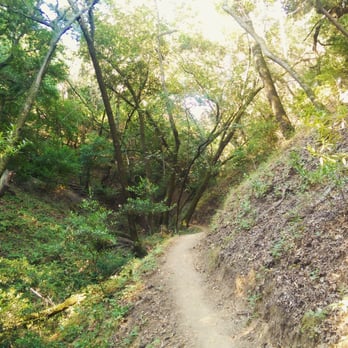 Almaden Quicksilver County Park - 747 Photos & 222 Reviews - Parks ...