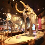 Western Science Center - 134 Photos & 38 Reviews - Museums - 2345 Searl ...