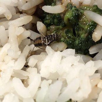 Silver Panda - 61 Photos & 130 Reviews - Szechuan - 10116 Mason Ave ...