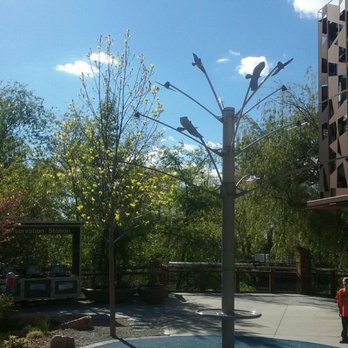 Tracy Aviary - 196 Photos & 97 Reviews - Zoos - 589 E 1300th S, Salt ...