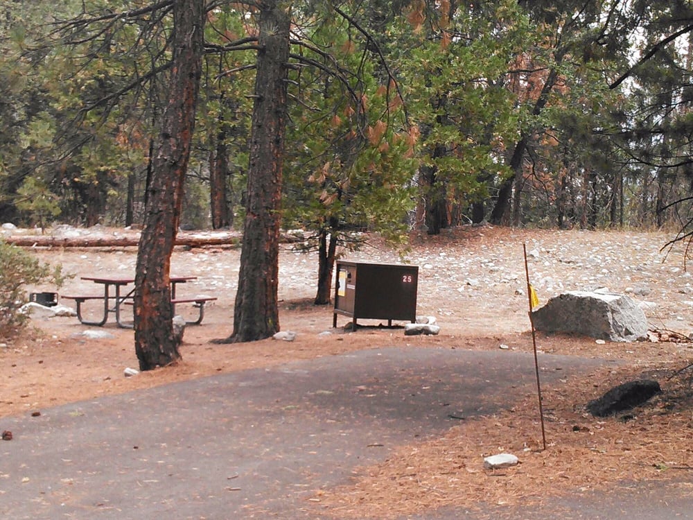 Moraine Campground - 14 Photos - Campgrounds - 47050 Generals Hwy ...