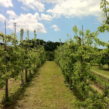 Holmberg Orchards - 64 Photos & 42 Reviews - Fruits & Veggies - 12 ...