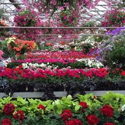 Ott’s Exotic Plants - 106 Photos & 39 Reviews - Nurseries & Gardening ...