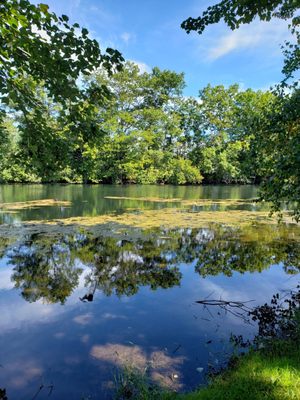 Ledgewood, NJ Map & Directions - MapQuest