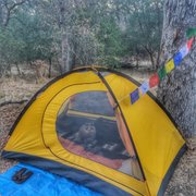 Beals Point Campground - 11 Photos - Campgrounds - 7806 Folsom Lake ...