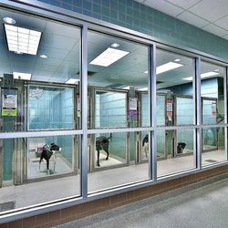 PAWS Humane - Animal Shelters - 4900 Milgen Rd, Columbus, GA - Phone ...