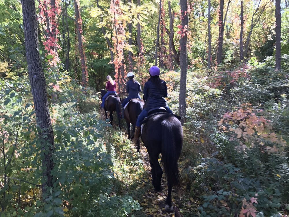Horse Ride Niagara On The Lake at Nathan Lozano blog