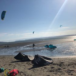 Jetty Island - 78 Photos & 30 Reviews - Parks - 10th St & W Marine View ...