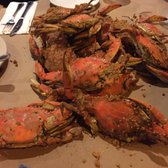 Quarterdeck - 213 Photos & 379 Reviews - Seafood - 1200 Fort Myer Dr ...