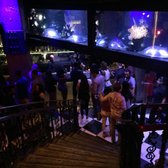 Mrs Fish - 521 Photos & 456 Reviews - Cocktail Bars - Downtown - Los ...