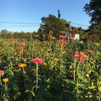 Terhune Orchards - 322 Photos & 240 Reviews - Farms - 330 Cold Soil Rd ...