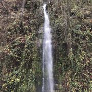 Dabney State Recreation Area - 33 Photos & 15 Reviews - Parks - 30174 E ...