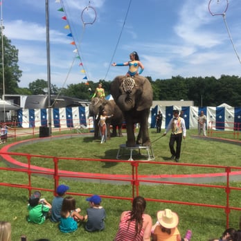 Oakland County Fair - 14 Photos - Festivals - 12451 Andersonville Rd ...