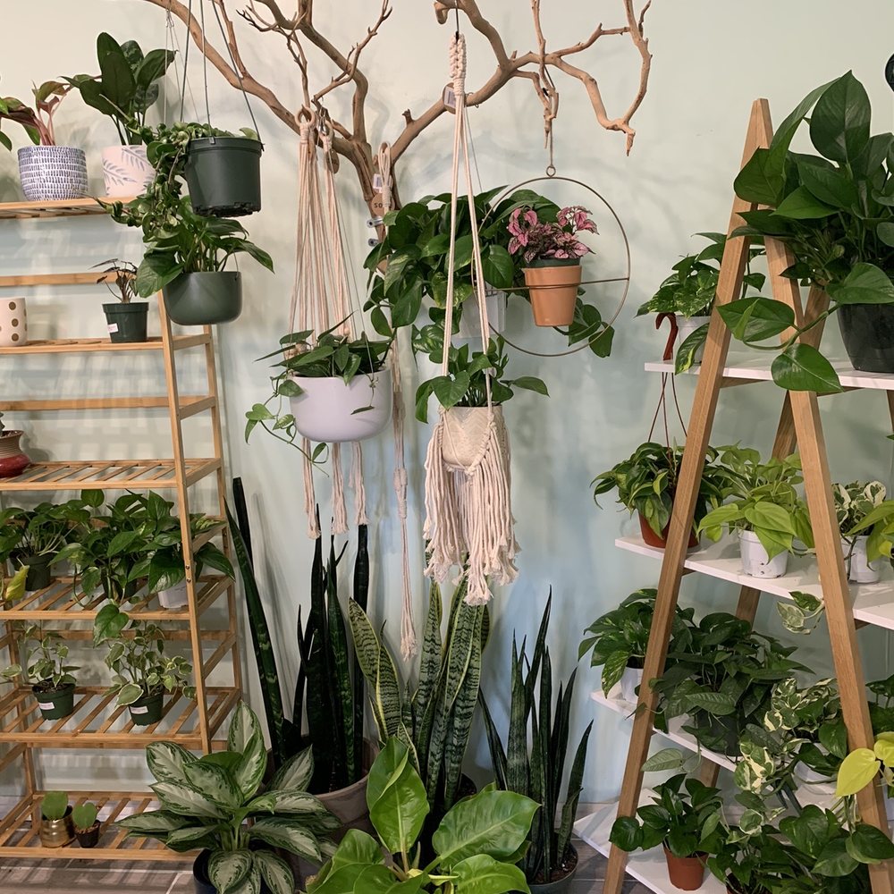 Fremont Services - Last Updated 2023 - Yelp