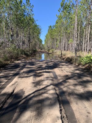 Bryceville, FL Map & Directions - MapQuest