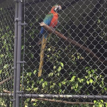 Pana’ewa Rainforest Zoo & Gardens - 275 Photos & 103 Reviews - Zoos ...