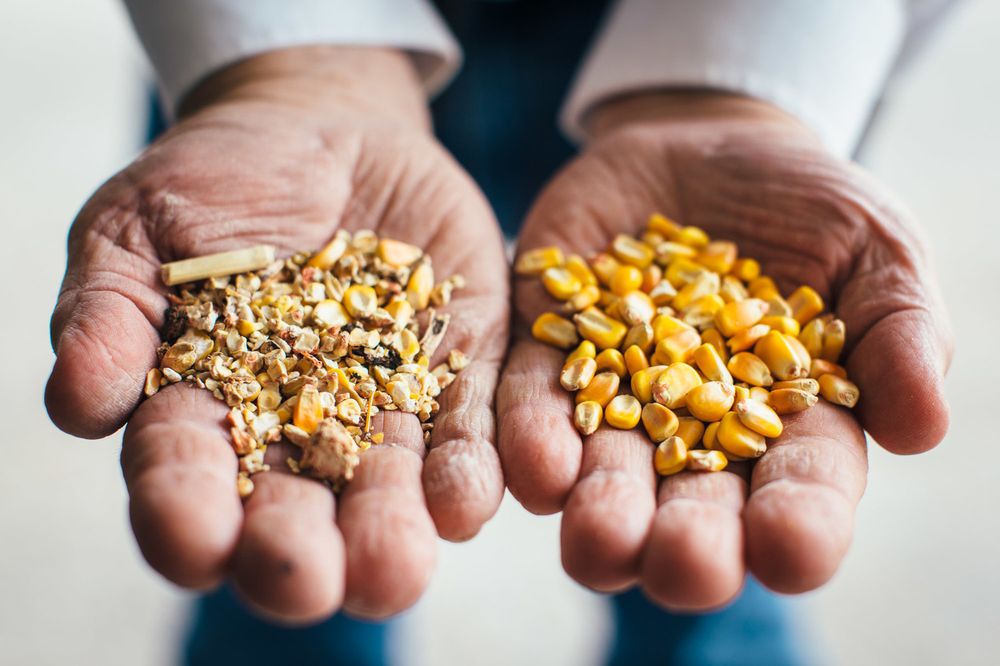 Jacoby Feed & Seed - 31 Photos - Livestock Feed & Supply - 101 N Main ...