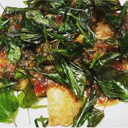 Thai Orchid Cuisine - 68 Photos & 79 Reviews - Thai - 1005 Vine St ...