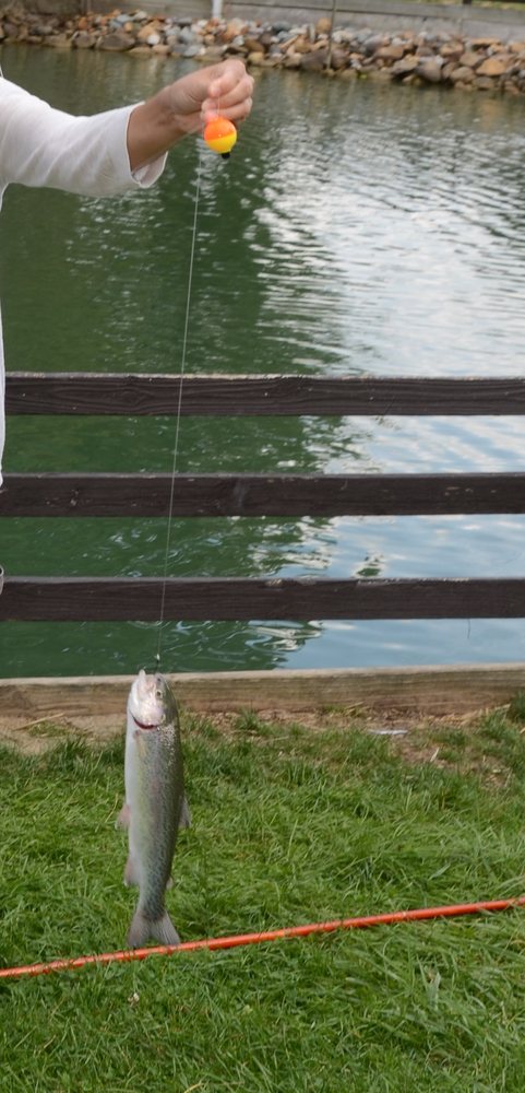 Spring Valley Trout Farm - Fishing - 12190 Island Lake Rd, Dexter, MI ...