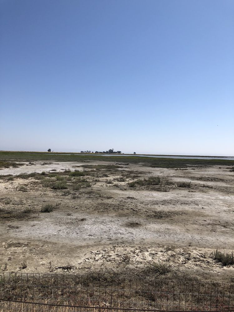 Hamilton Air Force Base, Novato | Roadtrippers