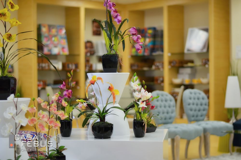 Casa Febus - Home Decor - Calle 2, Bayamón, Puerto Rico - Phone Number ...