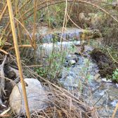 Trail Canyon Falls - 193 Photos & 44 Reviews - Hiking - Trail Canyon Rd ...