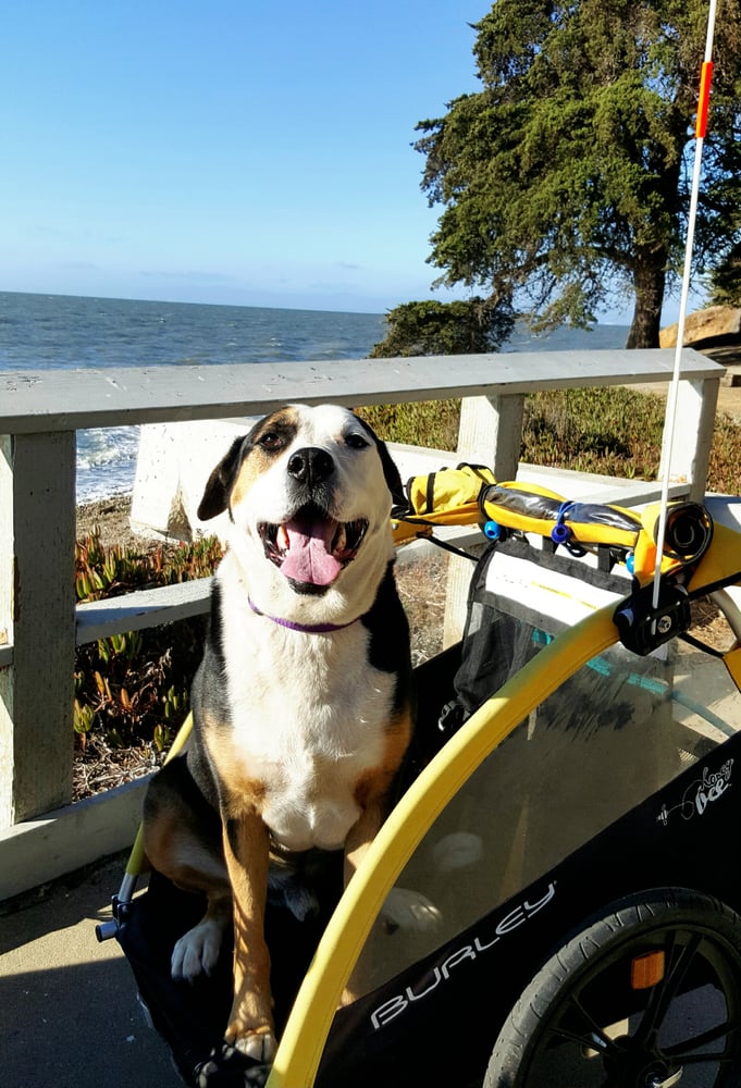 Coyote Point Recreation Area - 306 Photos & 171 Reviews - Parks - 1701 ...