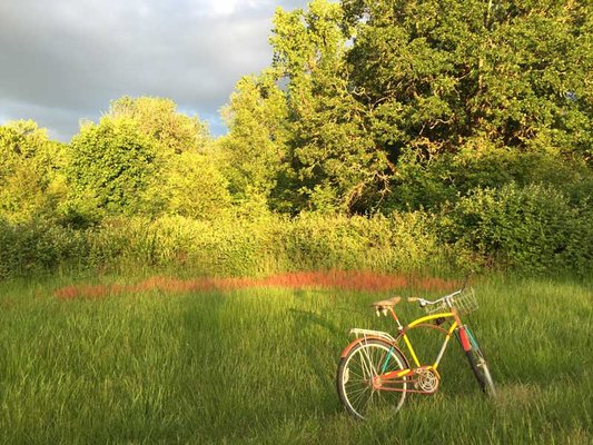 Blachly, OR Map & Directions - MapQuest