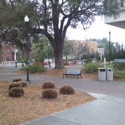 Georgia Southern University - 17 Photos - Colleges & Universities ...