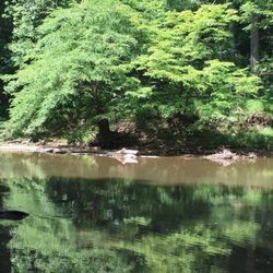 Hemlock Overlook Regional Park - 21 Photos & 14 Reviews - Parks - 13220 ...