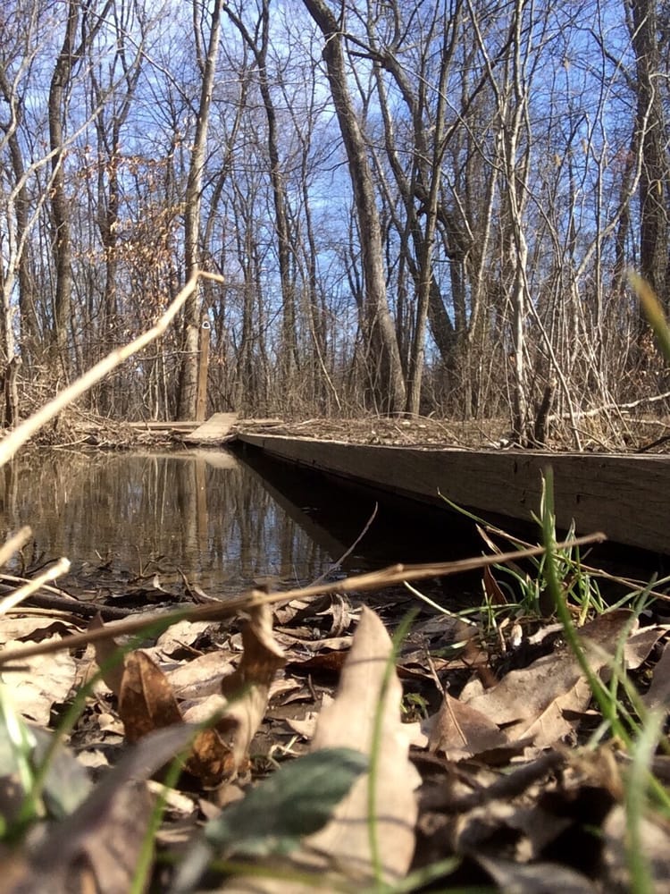 Julie J Metz Neabsco Creek Wetlands Preserve - 15875 Neabsco Rd ...