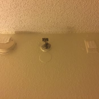 Quality Inn - 36 Photos & 15 Reviews - Hotels - 3500 Venture Pkwy ...