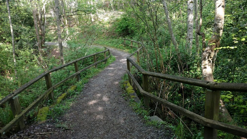 Northridge Park - Parks - 3400 Carrington Way, Bellingham, WA - Phone ...