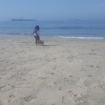 Rosie’s Dog Beach - 941 Photos & 556 Reviews - Dog Parks - 4800 E Ocean Blvd, Long Beach, CA - Yelp