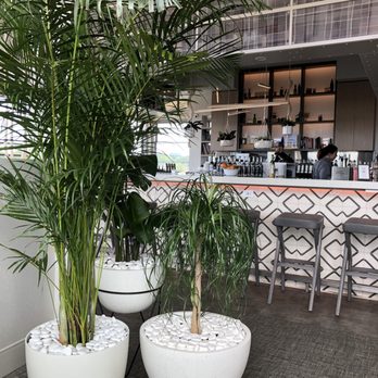 Santo Cielo - 104 Photos & 58 Reviews - American (New) - 123 Water St ...