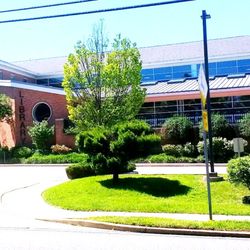 Newtown Public Library - 10 Photos - Libraries - 201 Bishop Hollow Rd ...