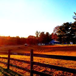 Hidden Valley Farm - 22 Photos - Horseback Riding - 535 Gradyville Rd ...