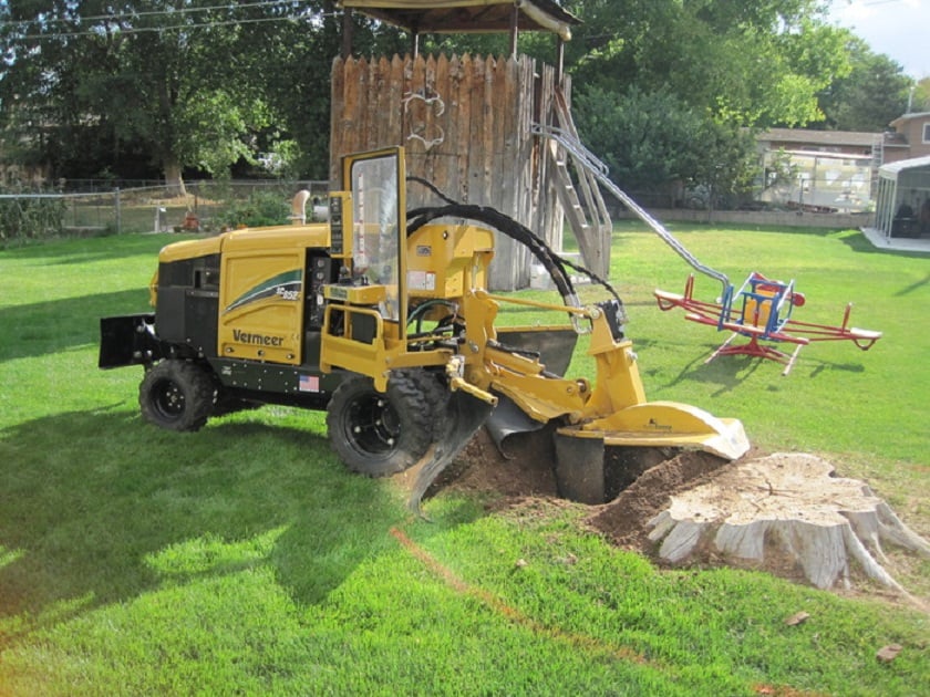 Chop Chop Tree - Tree Removal - Tree Services - 13400 US Hwy 19 N ...