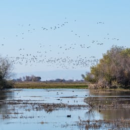 Merced National Wildlife Refuge - 16 Photos - Parks - 7430 W Sandy Mush ...