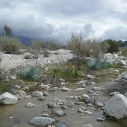 Big Tujunga Canyon - 22 Photos - Hiking - 11950 Big Tujunga Canyon Rd ...