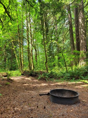 Darrington, WA Map & Directions - MapQuest