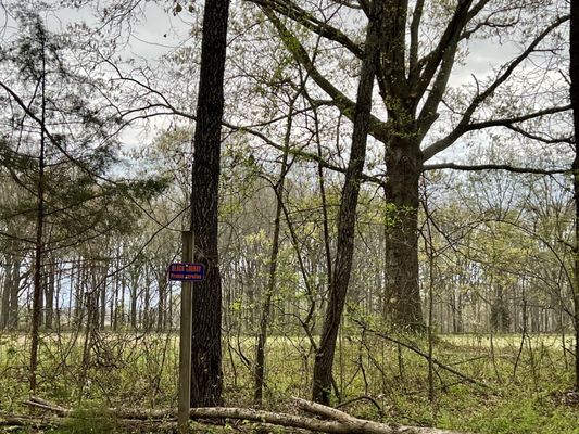 Kenton, TN Map & Directions - MapQuest