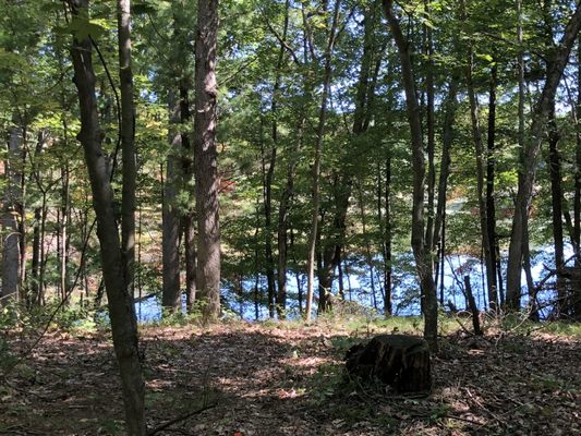 Wild Rose, WI Map & Directions - MapQuest