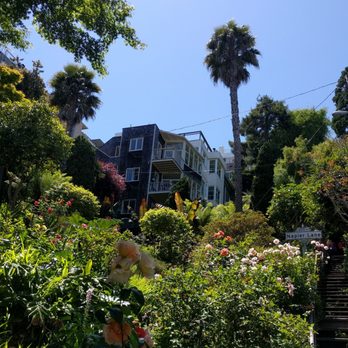 Filbert Steps - 362 Photos & 237 Reviews - Local Flavor - Filbert St ...