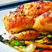 The Shelby - 69 Photos & 101 Reviews - American (New) - 707 N Krocks Rd ...