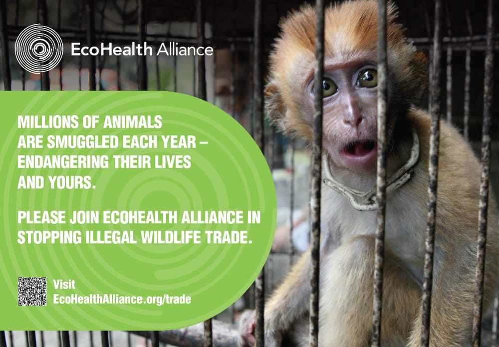 EcoHealth Alliance - 2019 All You Need to Know BEFORE You Go (with ...