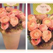 The Ruffly Rose - 60 Photos & 63 Reviews - Florists - 1611 S Pearl St ...