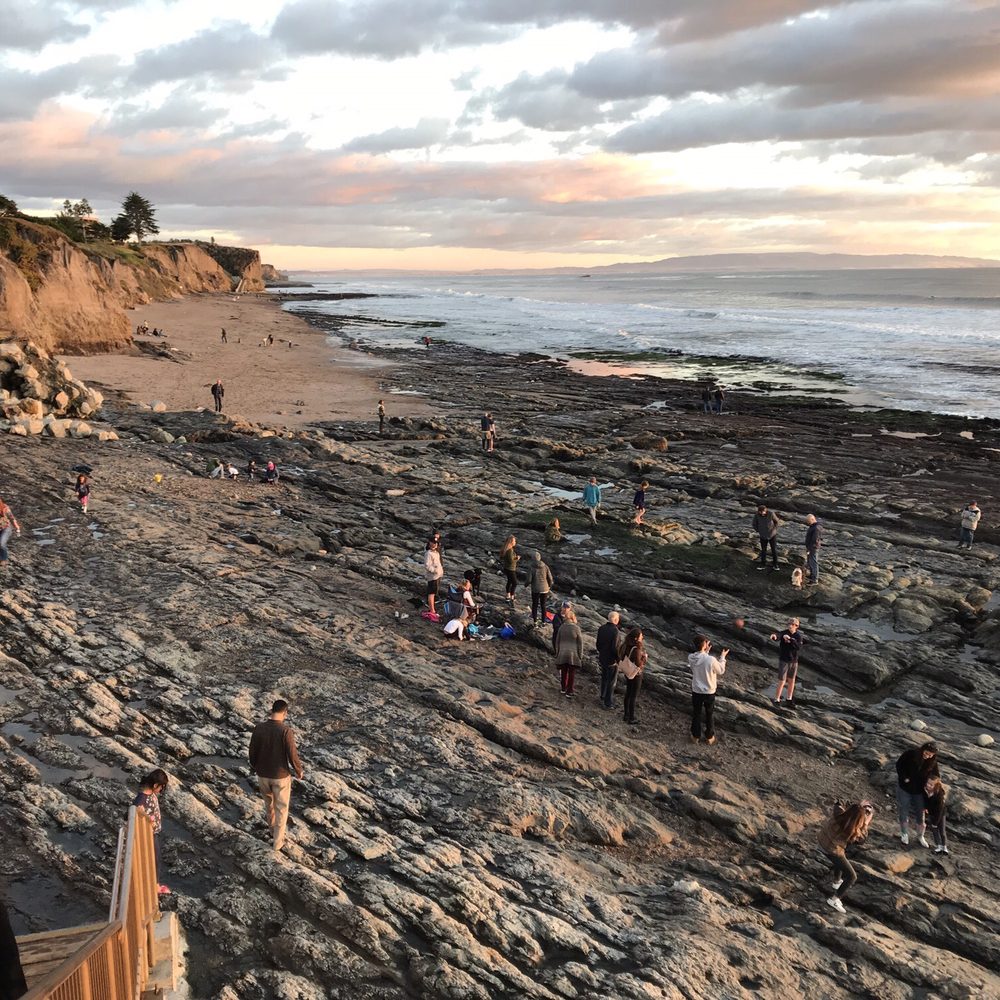 SHELL/PISMO BEACH & SURROUNDING AREAs. - Yelp